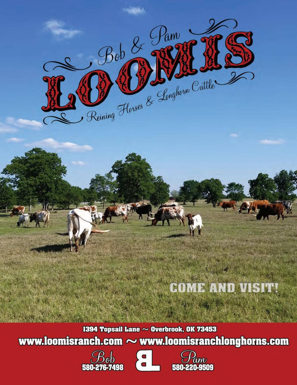 2018 Red River Longhorn Sale Catalog by Texas Longhorn Trails Magazine ...