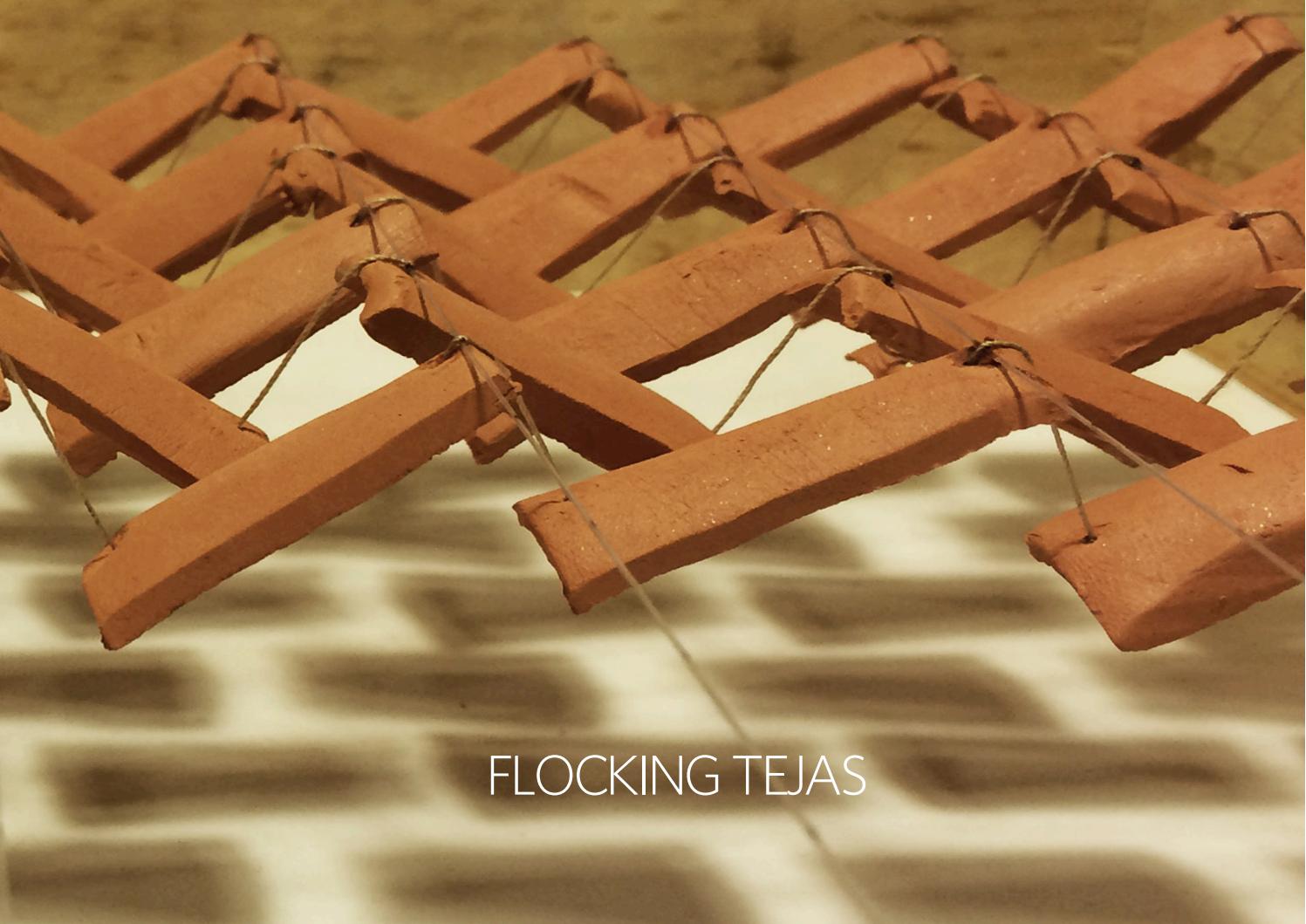 Flocking tejas young architects in latina america 16th venice ...