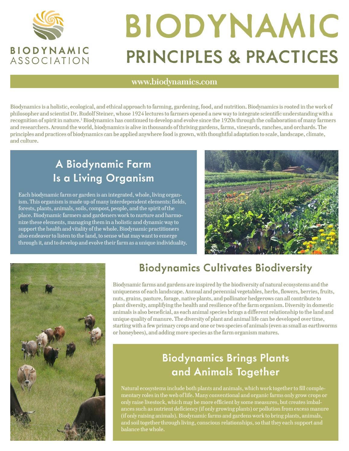 Biodynamic Principles and Practices by Biodynamic Association - Issuu
