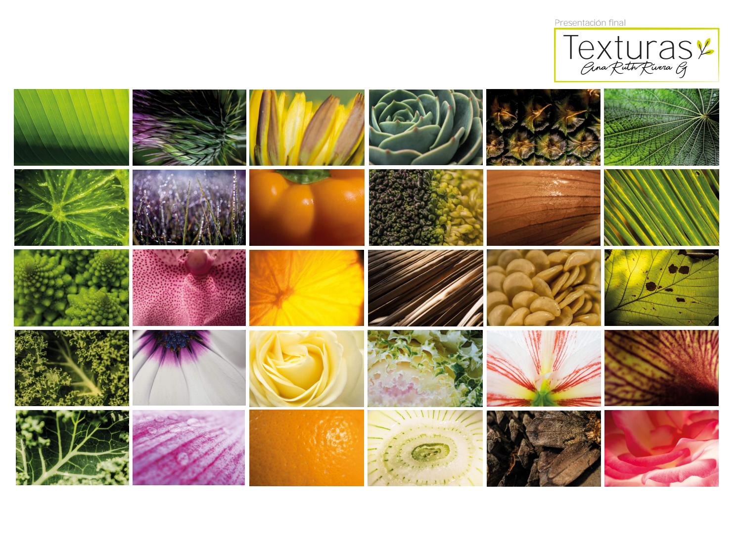En búsqueda de las texturas naturales by Ana Ruth Fullnature - Issuu