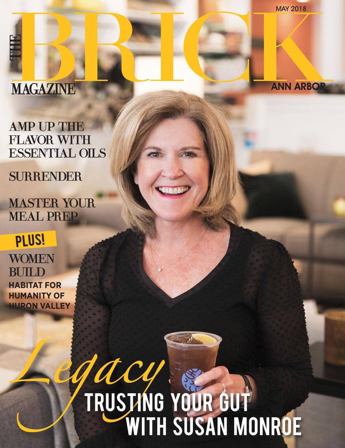 The Brick Magazine | May 2018 by The Brick Magazine Ann Arbor - Issuu