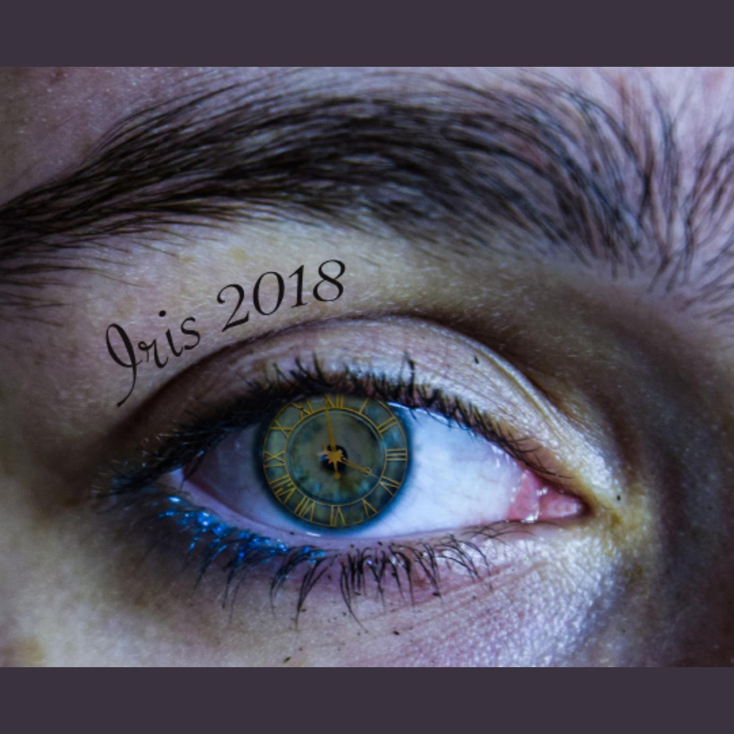 Iris Literary Magazine Spring 2018 by Chatham Hall - Issuu