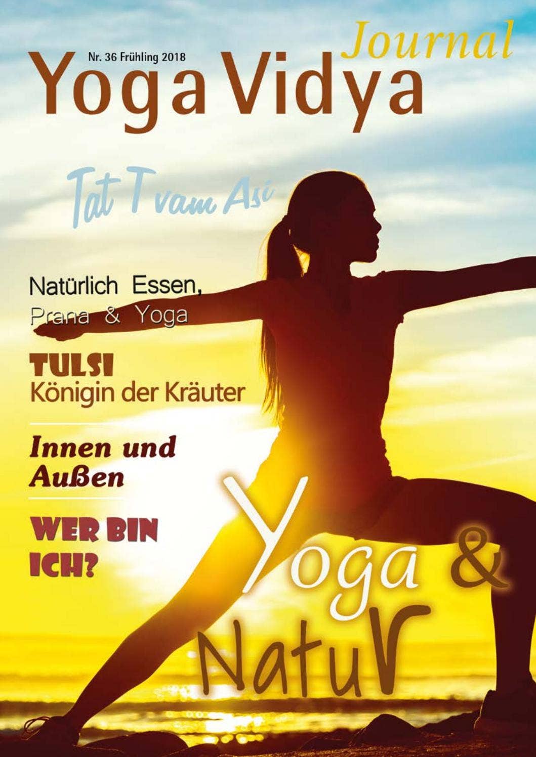 Yoga Vidya Journal Nr. 36 by Yoga Vidya - Issuu