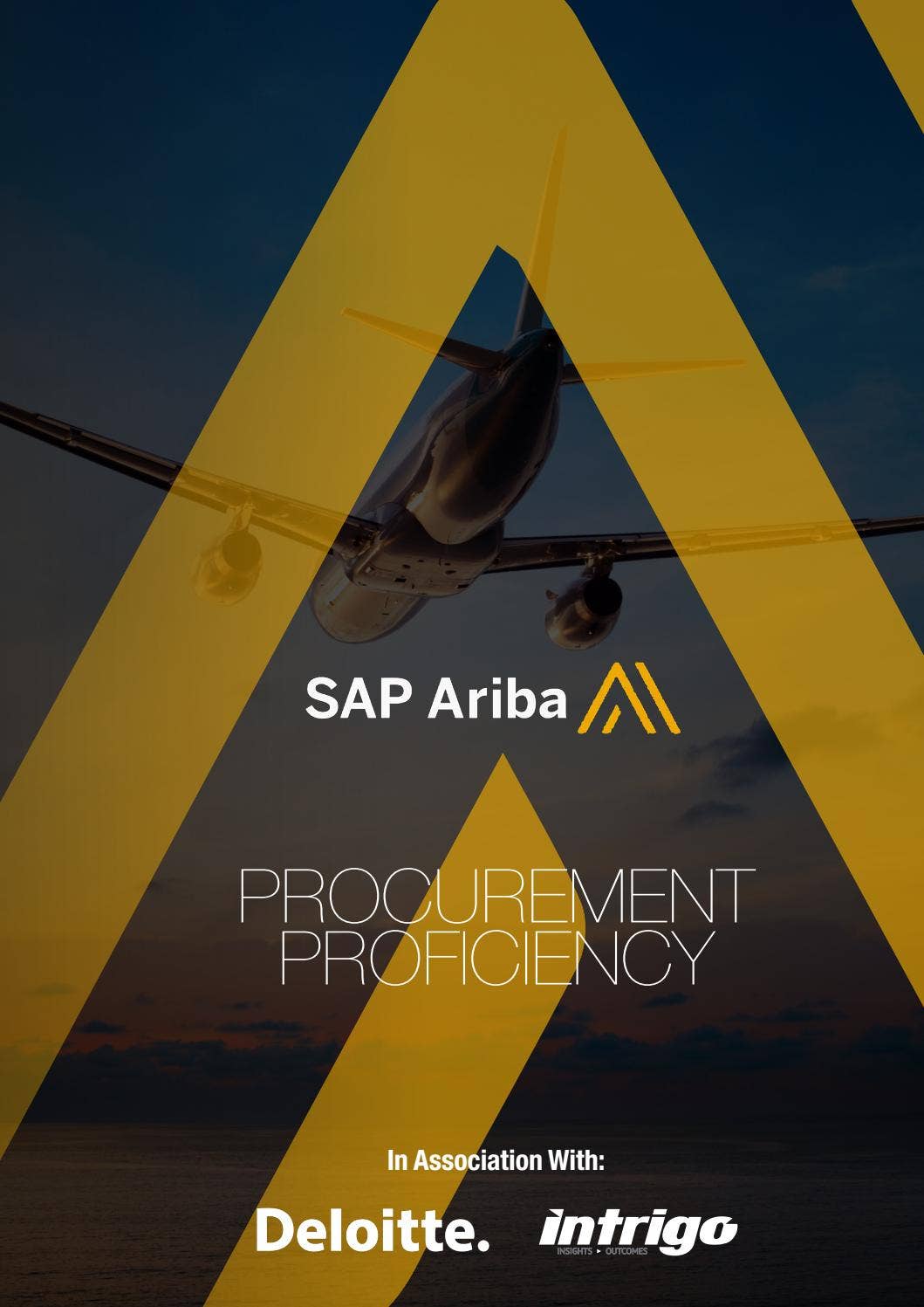 Brochure - SAP Ariba by Business Chief USA - Issuu