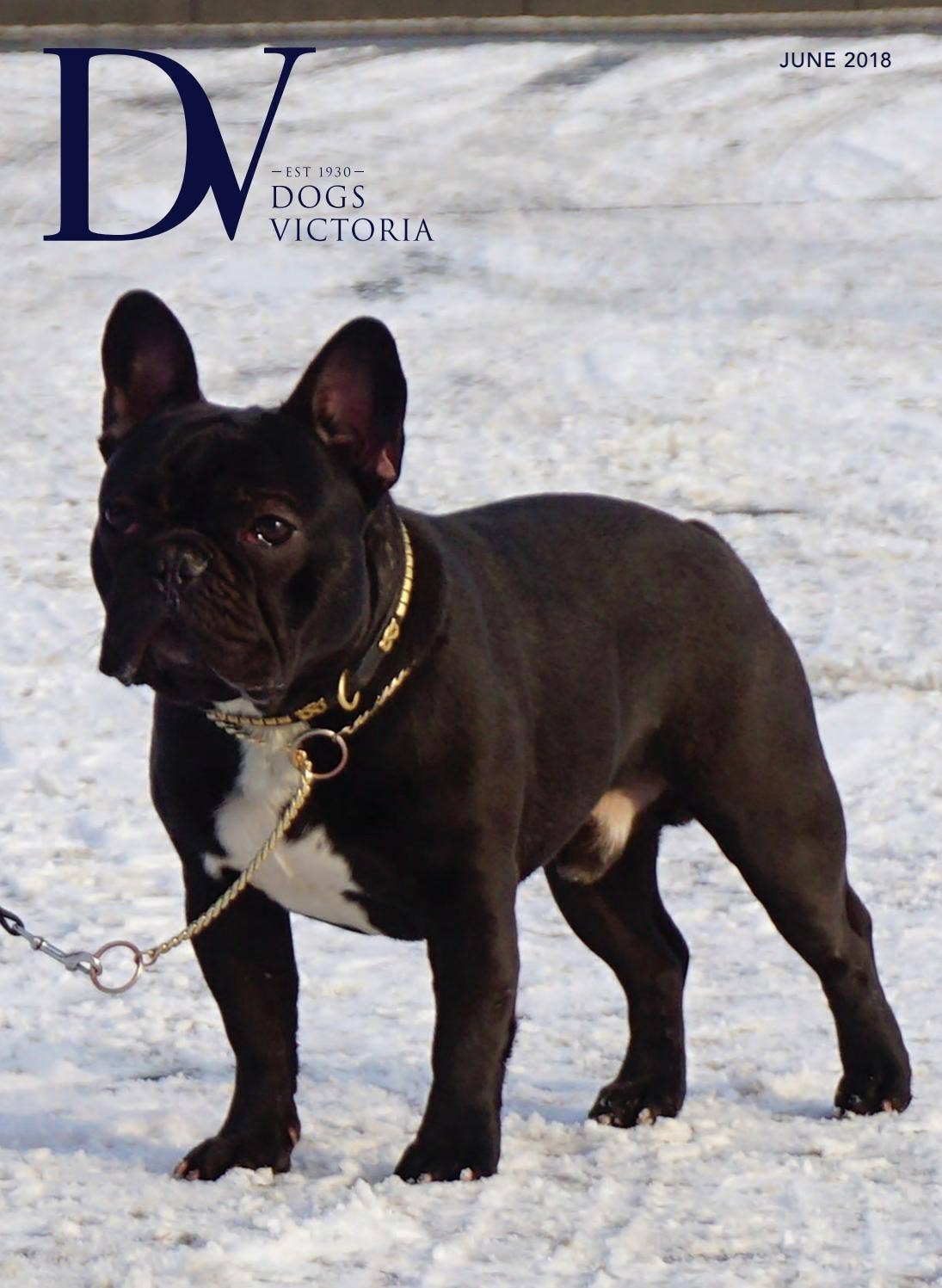 Dogs Victoria Magazine - June 2018 by Dogs Victoria - Issuu