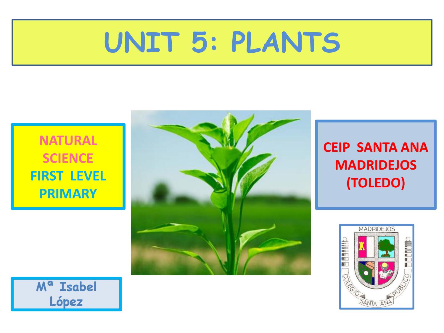 Unit 5 plants by ILopezD - Issuu