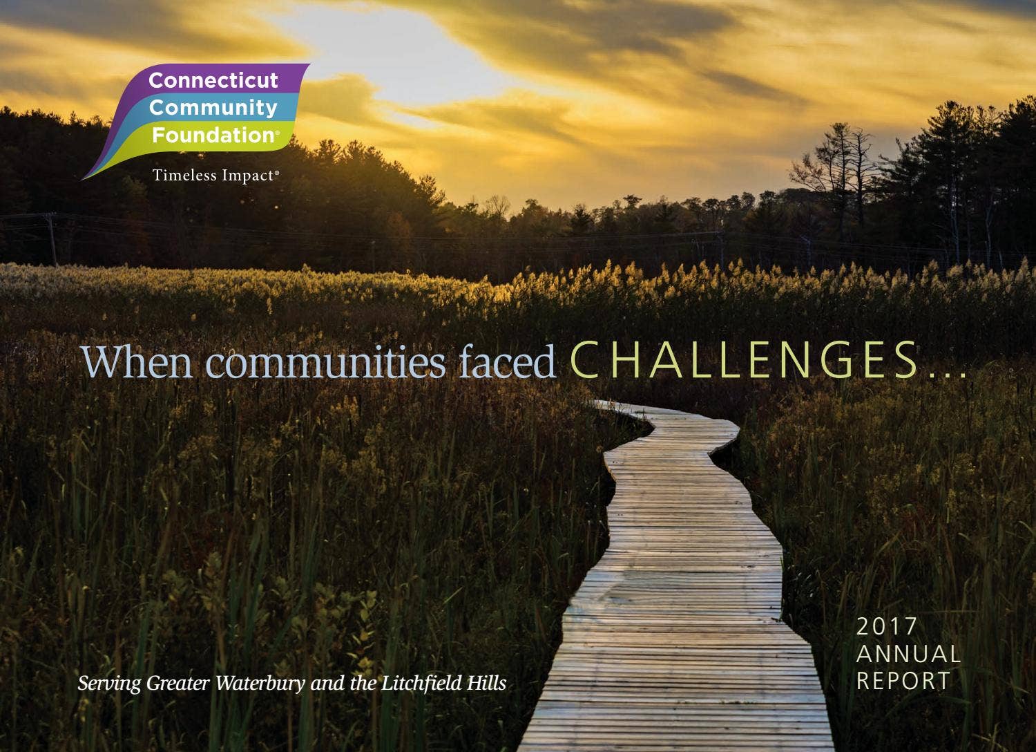 2017 Annual Report of Connecticut Community Foundation by Connecticut ...