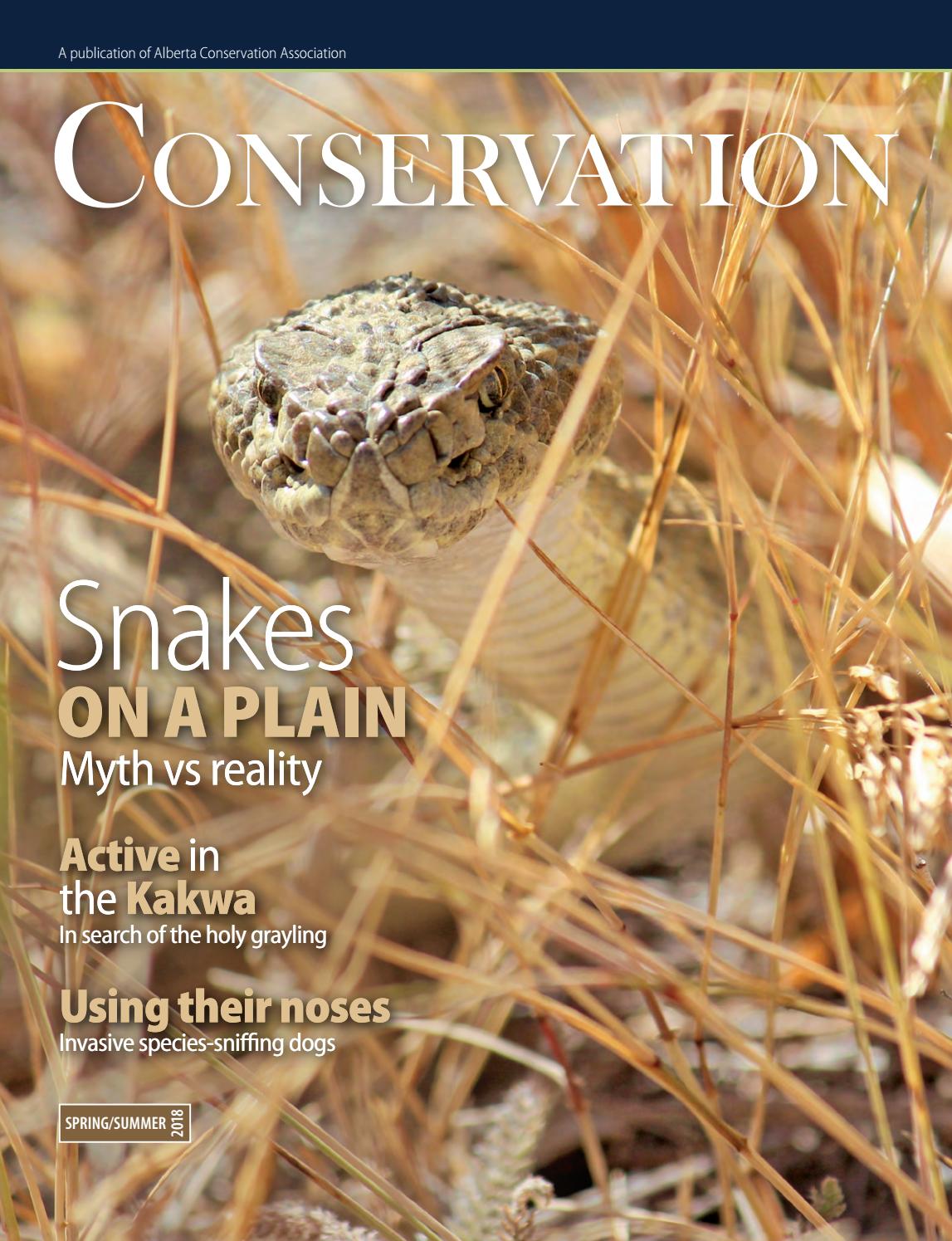 ACA conservation magazine spring/summer 2018 by Alberta Conservation ...