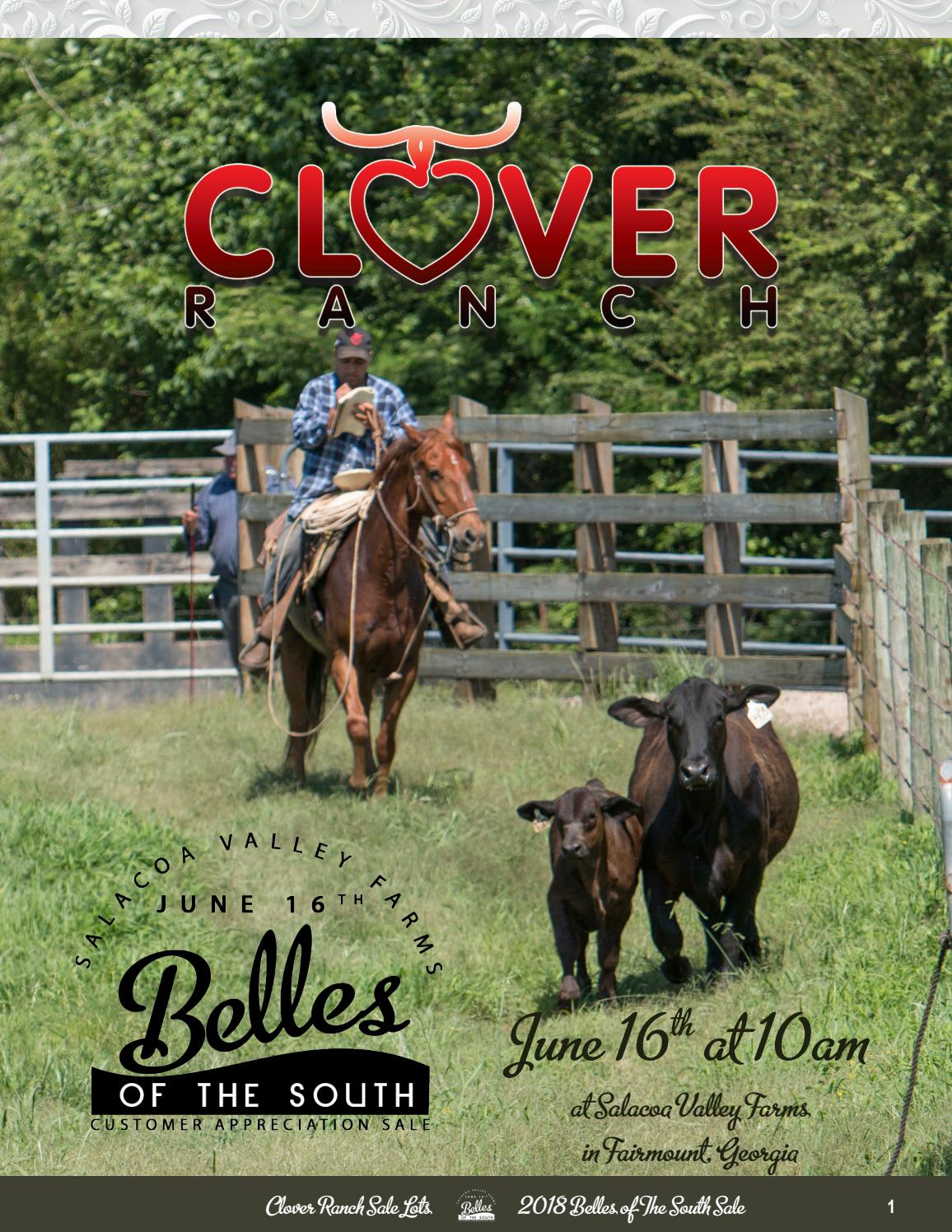 Clover Ranch 2018 Belles of The South Sale Lots by Crystal Devoll - Issuu