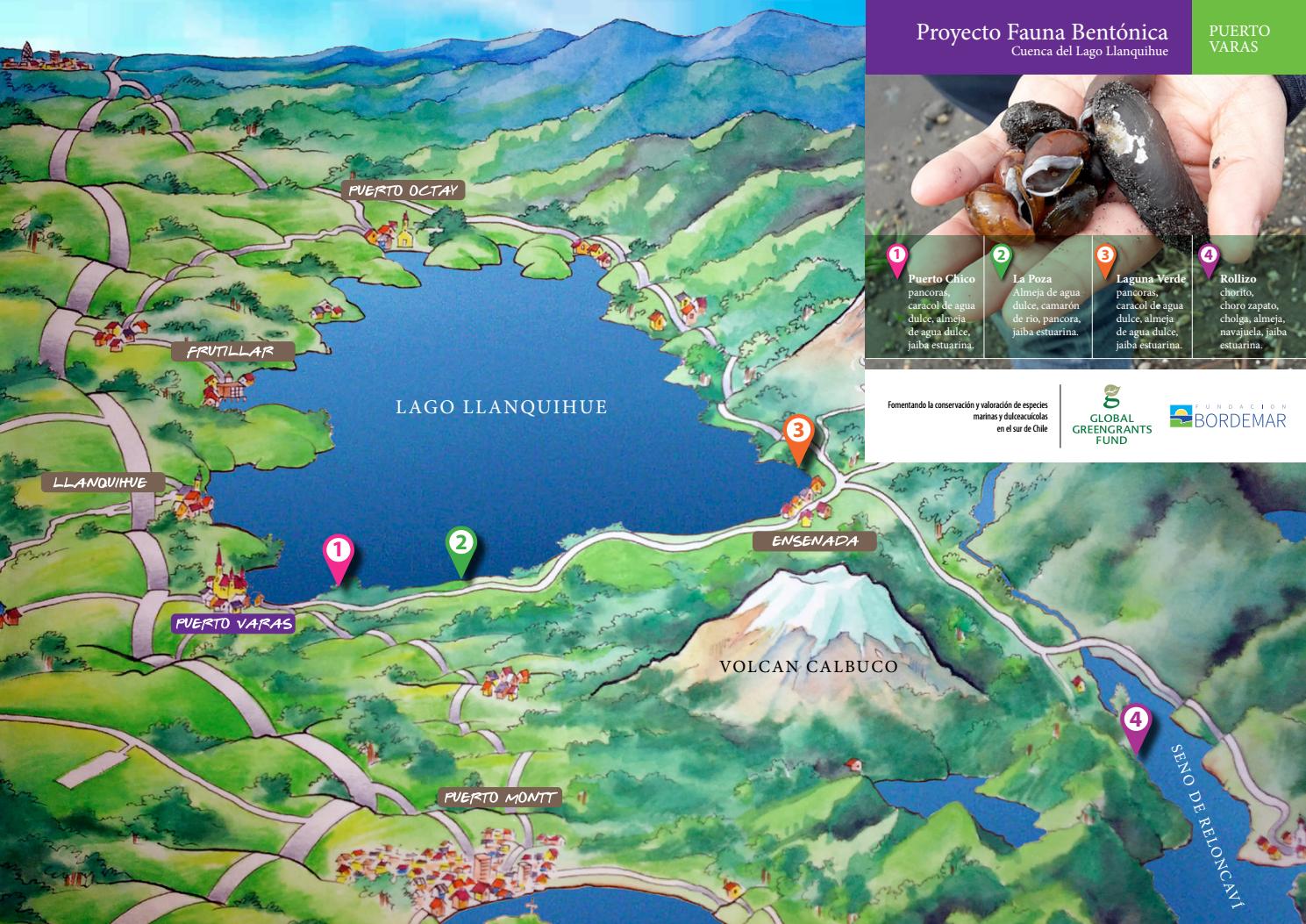 Mapa especies dulceacuícolas y del mar de la comuna de Puerto Varas by ...