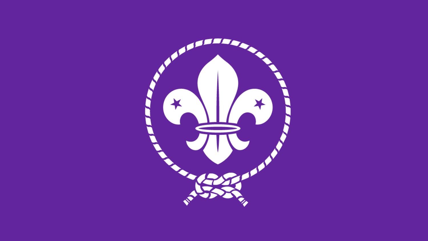 WOSM communication and strategic engagements strategy by World ...