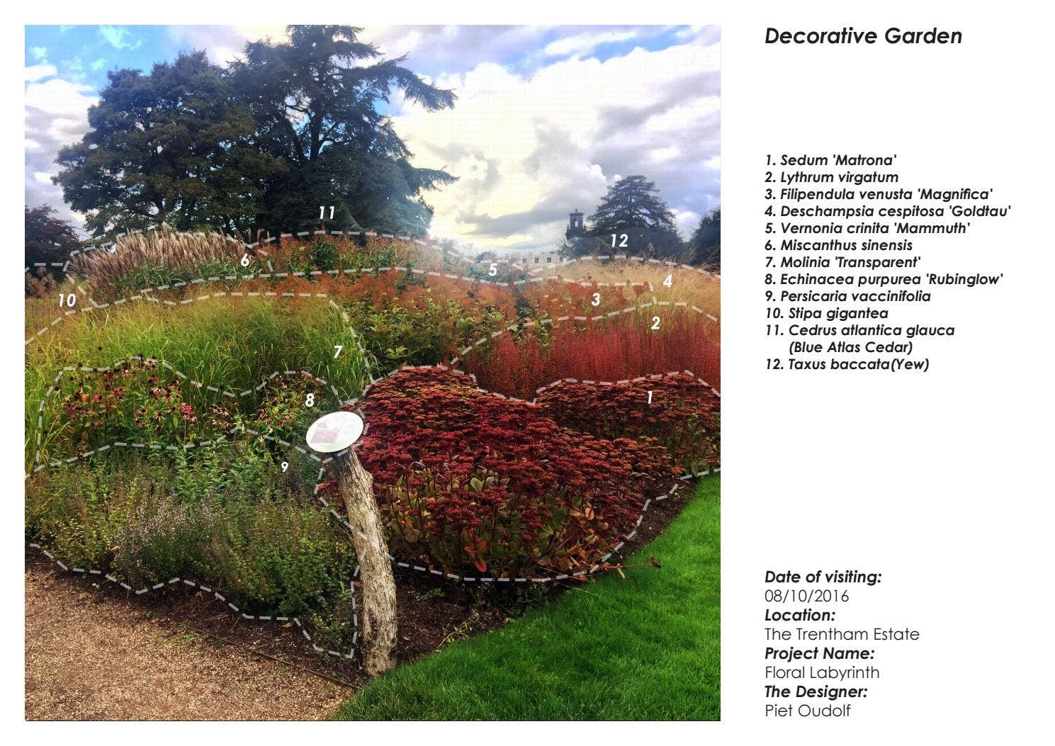 Planting journal dominicyang by Dominic Yang - Issuu