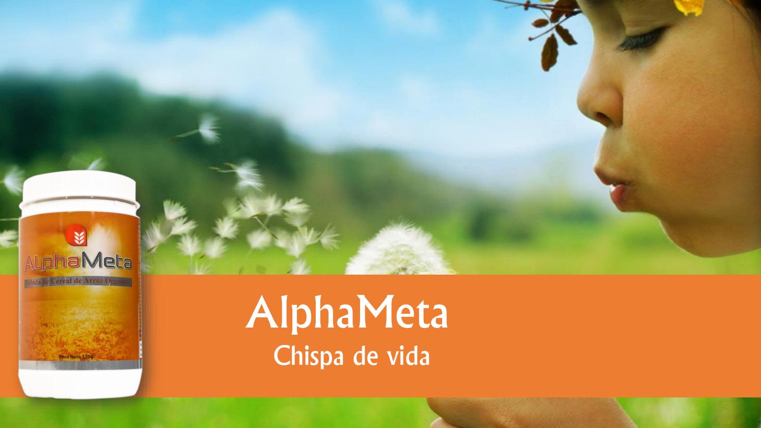 Alphameta by JM Internacional México - Issuu