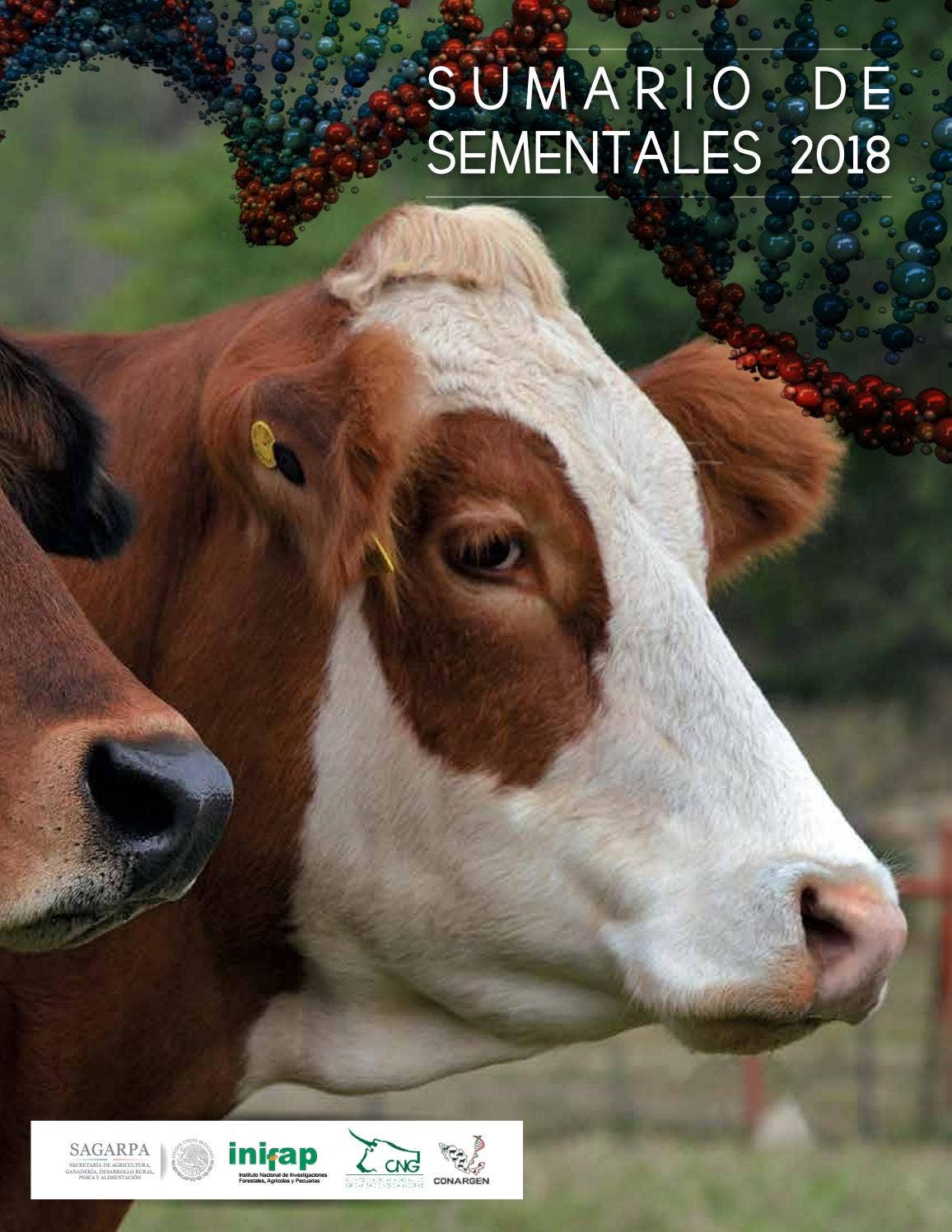 Catálogo sementales 2018 by Simmental Simbrah Mexicana - Issuu