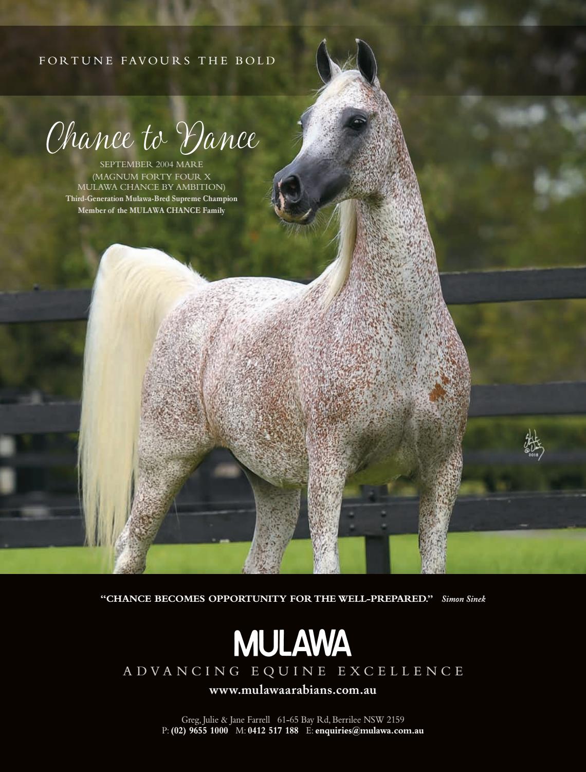 Mulawa S&S Vol 45 by Vink Publishing - Issuu