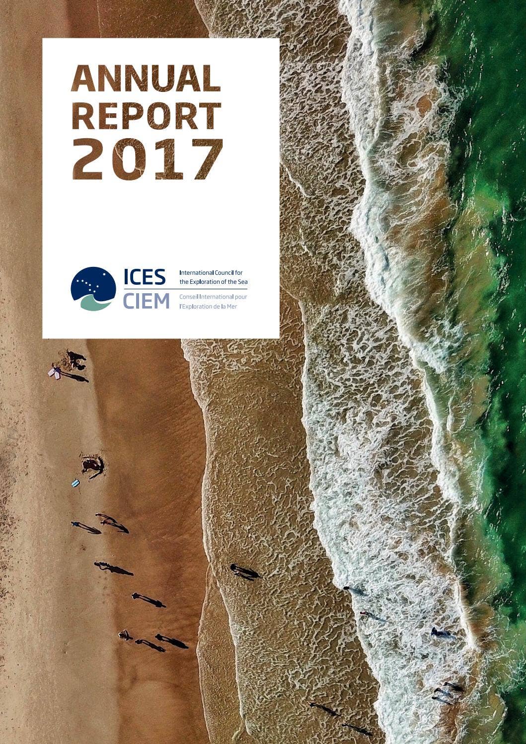 ICES Annual Report 2017 by ICES - Issuu