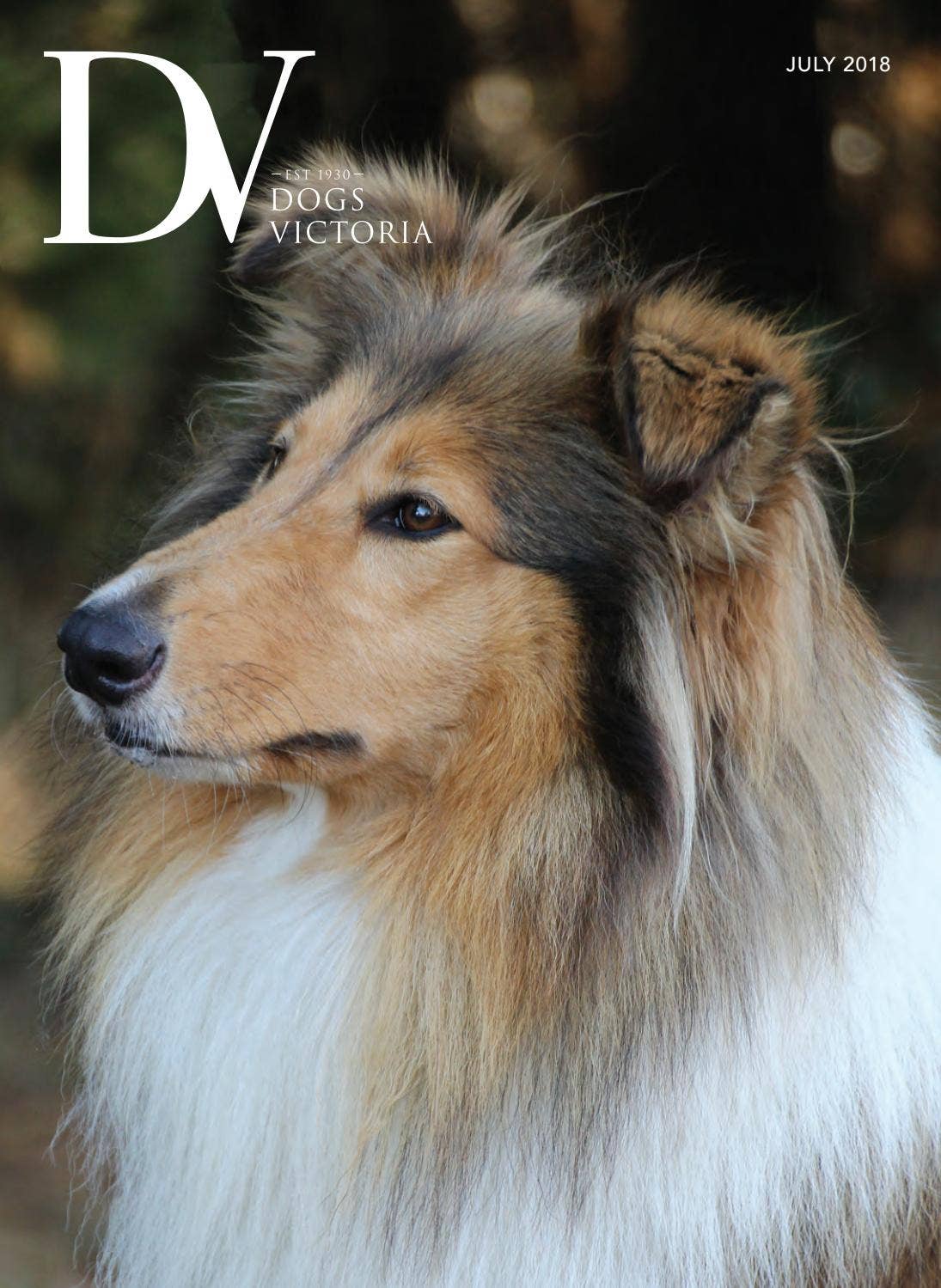 Dogs Victoria Magazine - June 2018 by Dogs Victoria - Issuu