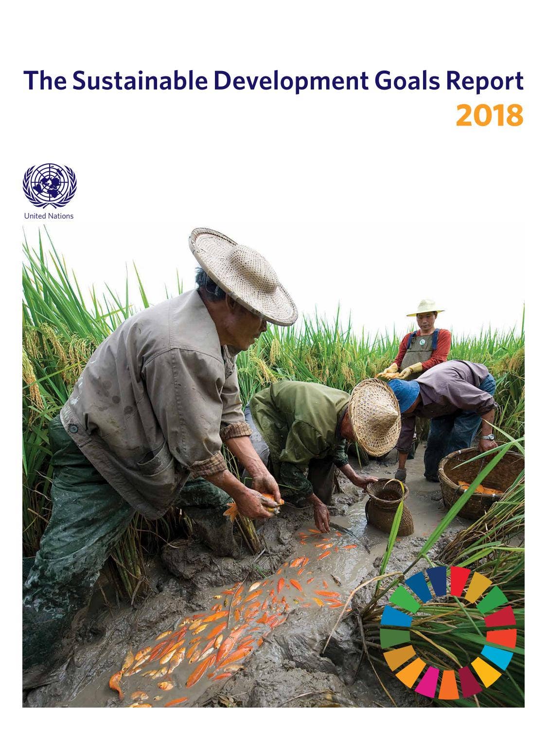 UN Sustainable Development Goals Progress Report 2018 by UNICEF USA - Issuu