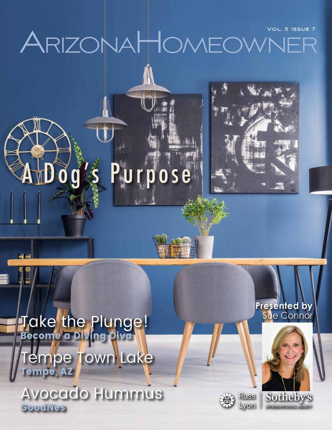 Sue Connor | Arizona Homeowner by Prime Source | DLP Marketing - Issuu