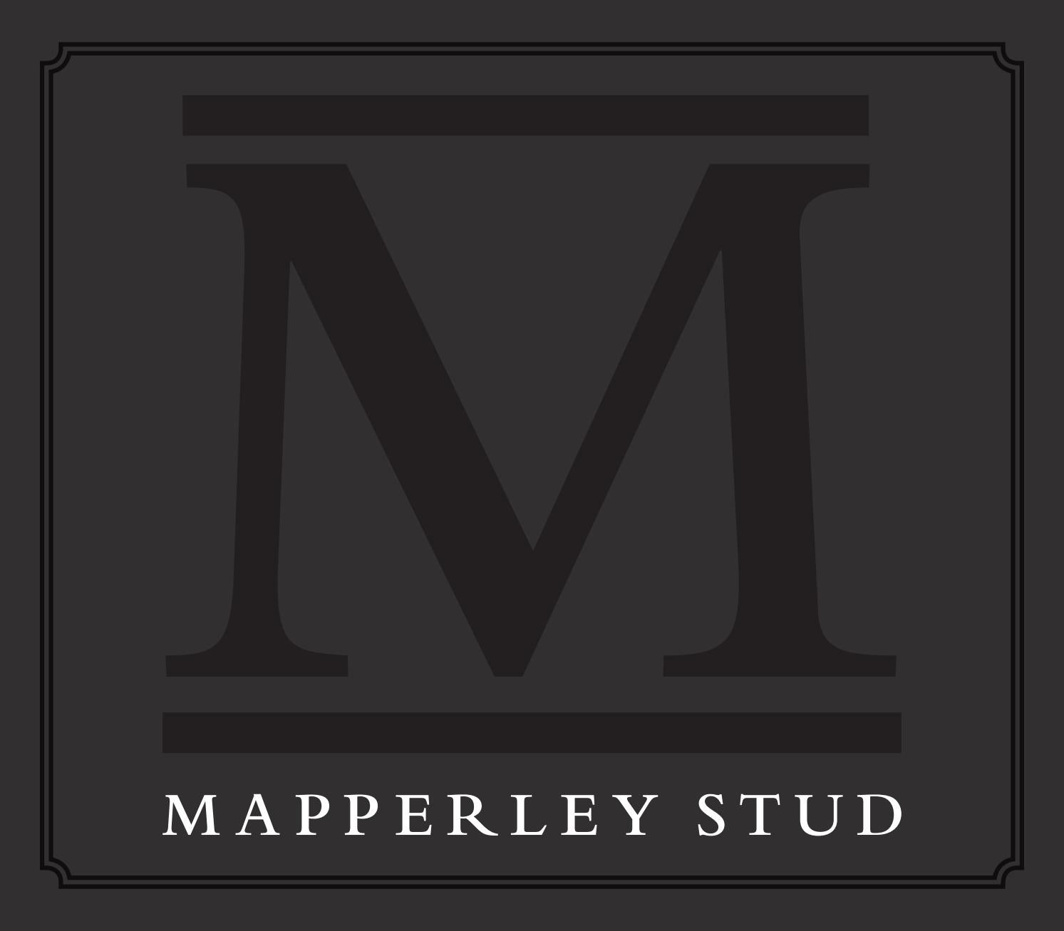 Mapperley Stud 2018 Stallion Brochure by Mapperley Stud - Issuu