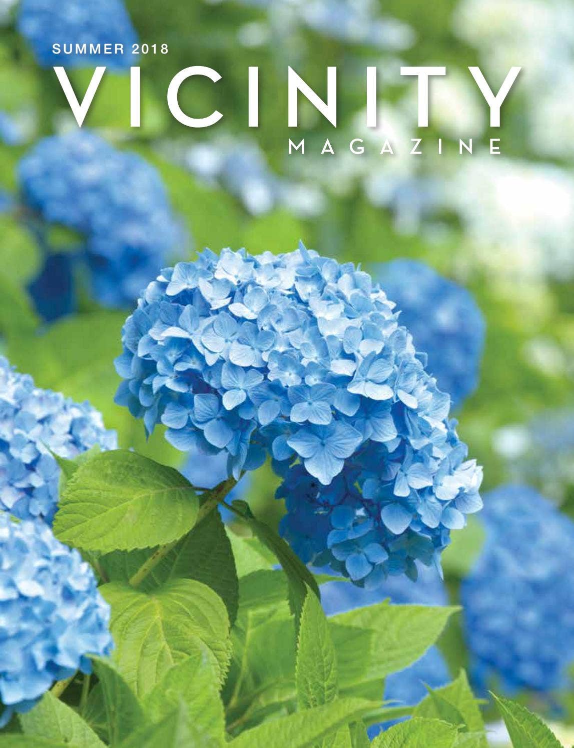 Vicinity Magazine by Vicinity Media Group - Issuu