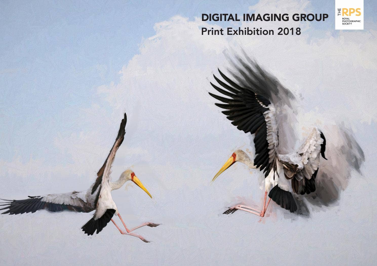 2018 Print Exhibition Catalogue Digital Imaging Group RPS by Royal ...