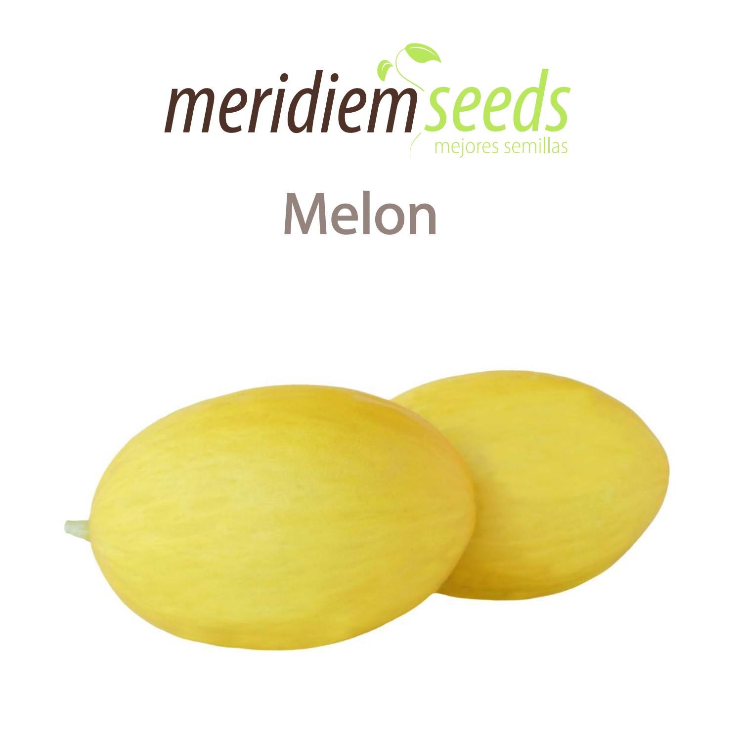 Melon Catalog by Meridiem Seeds - Issuu