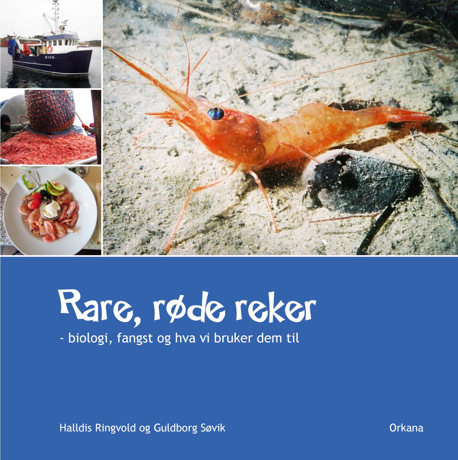 Rare, røde reker by Orkana - Issuu