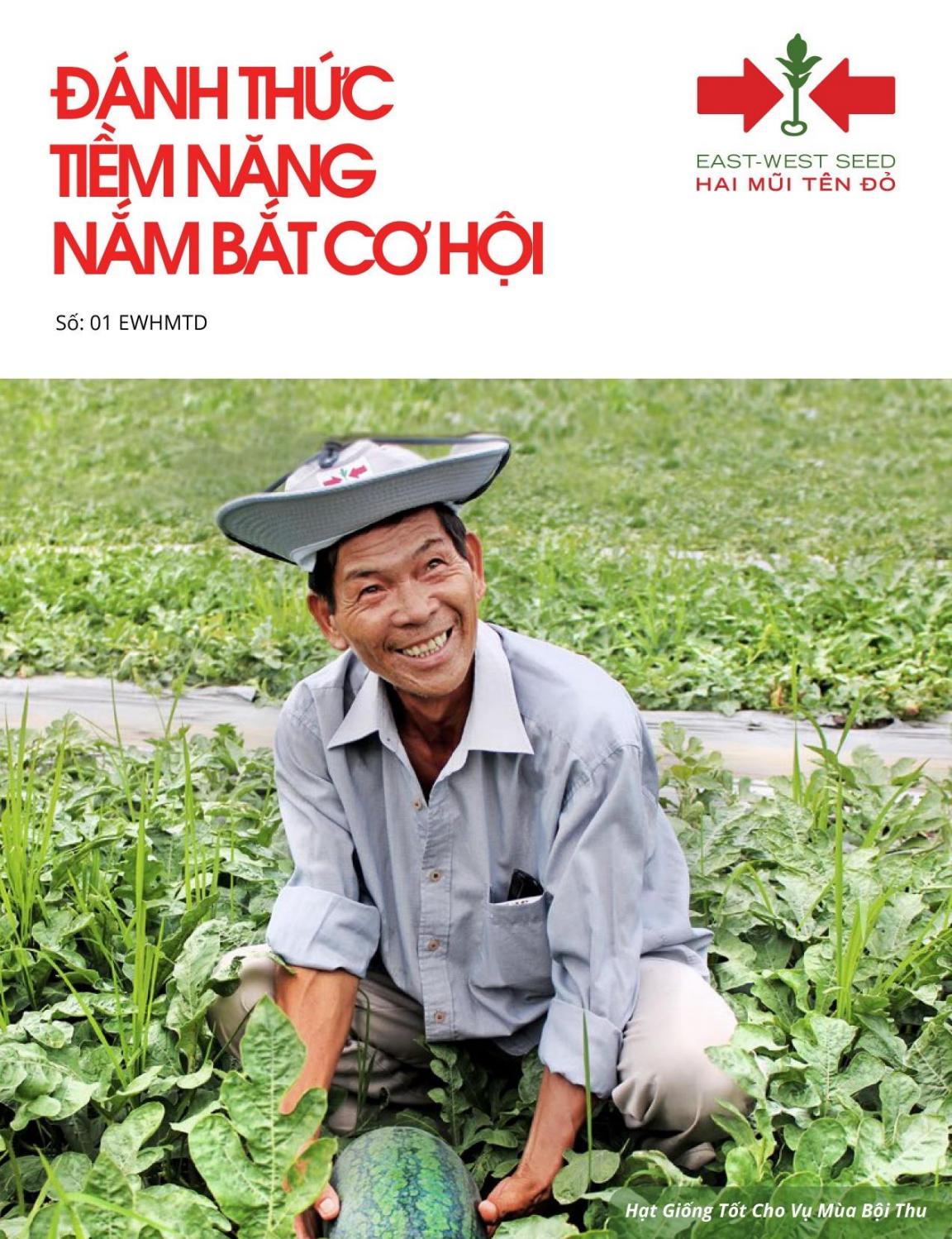 East-West Seed (Hai Mui Ten Do) Review 2017 by East-West Seed (Hai Mũi ...