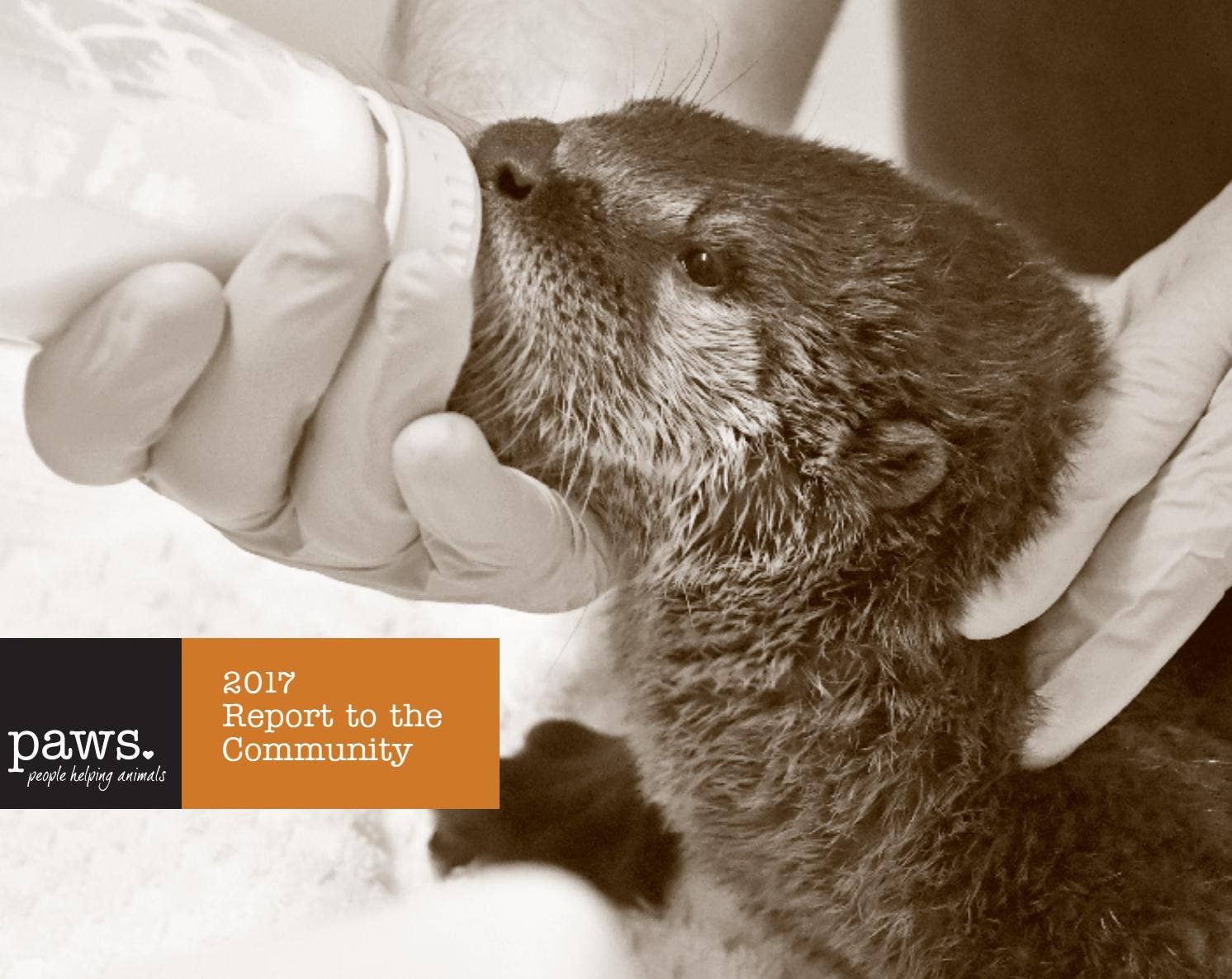 Paws 2017 annual report issuu by PAWS - Issuu