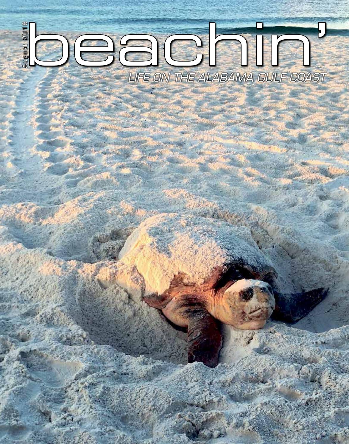 Beachin' (August 2018) by Gulf Coast Media - Issuu
