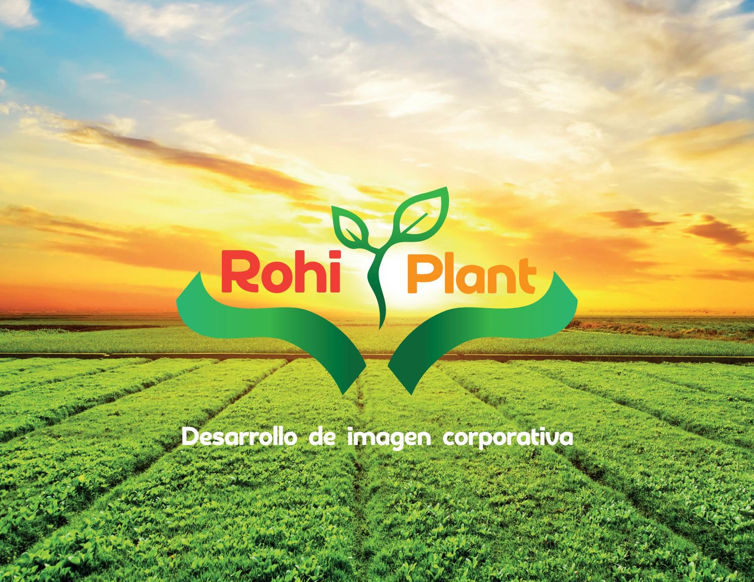 logo Rohi plus by Caro Chip - Issuu
