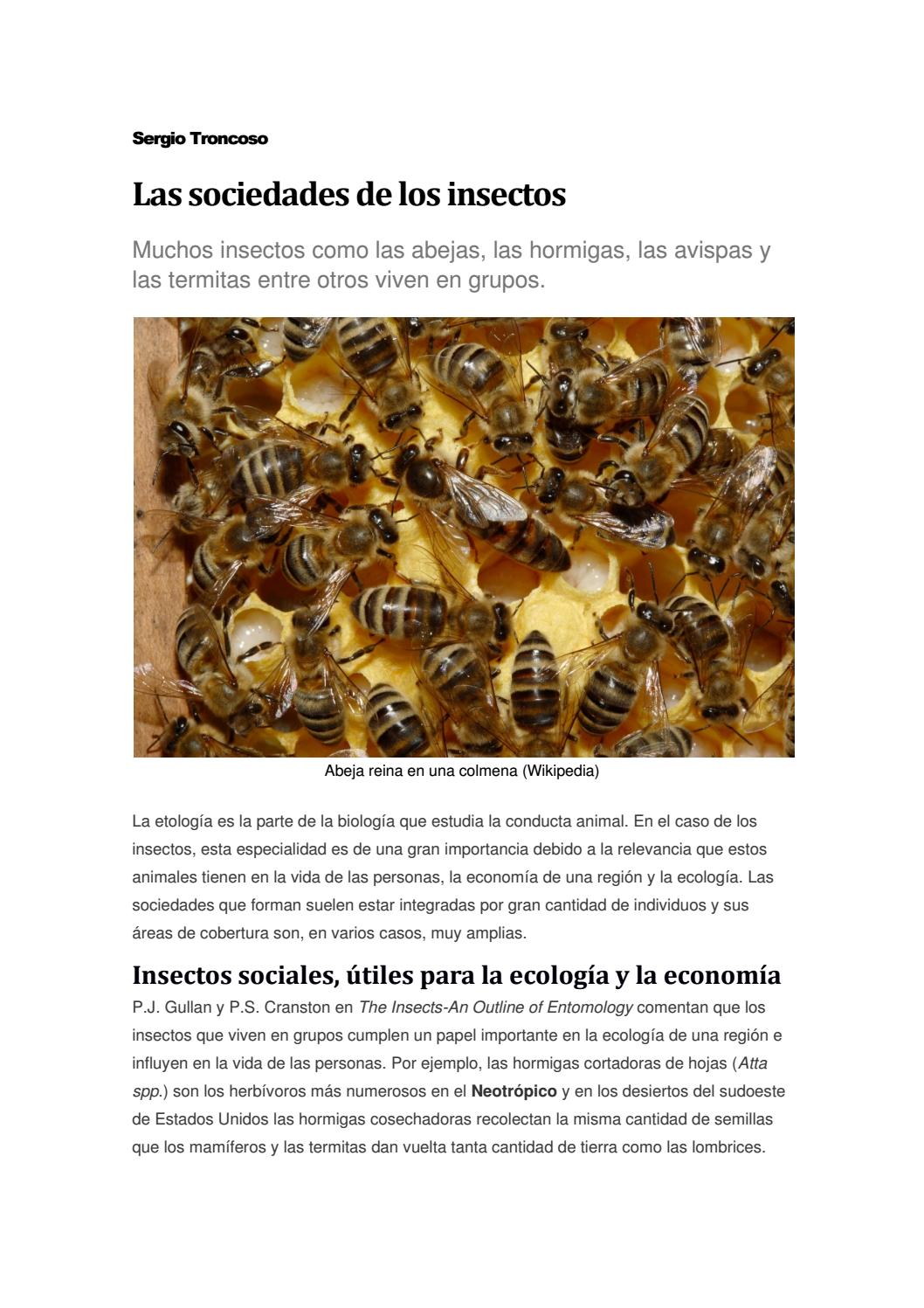 Las sociedades de los insectos by Sergio Troncoso - Issuu