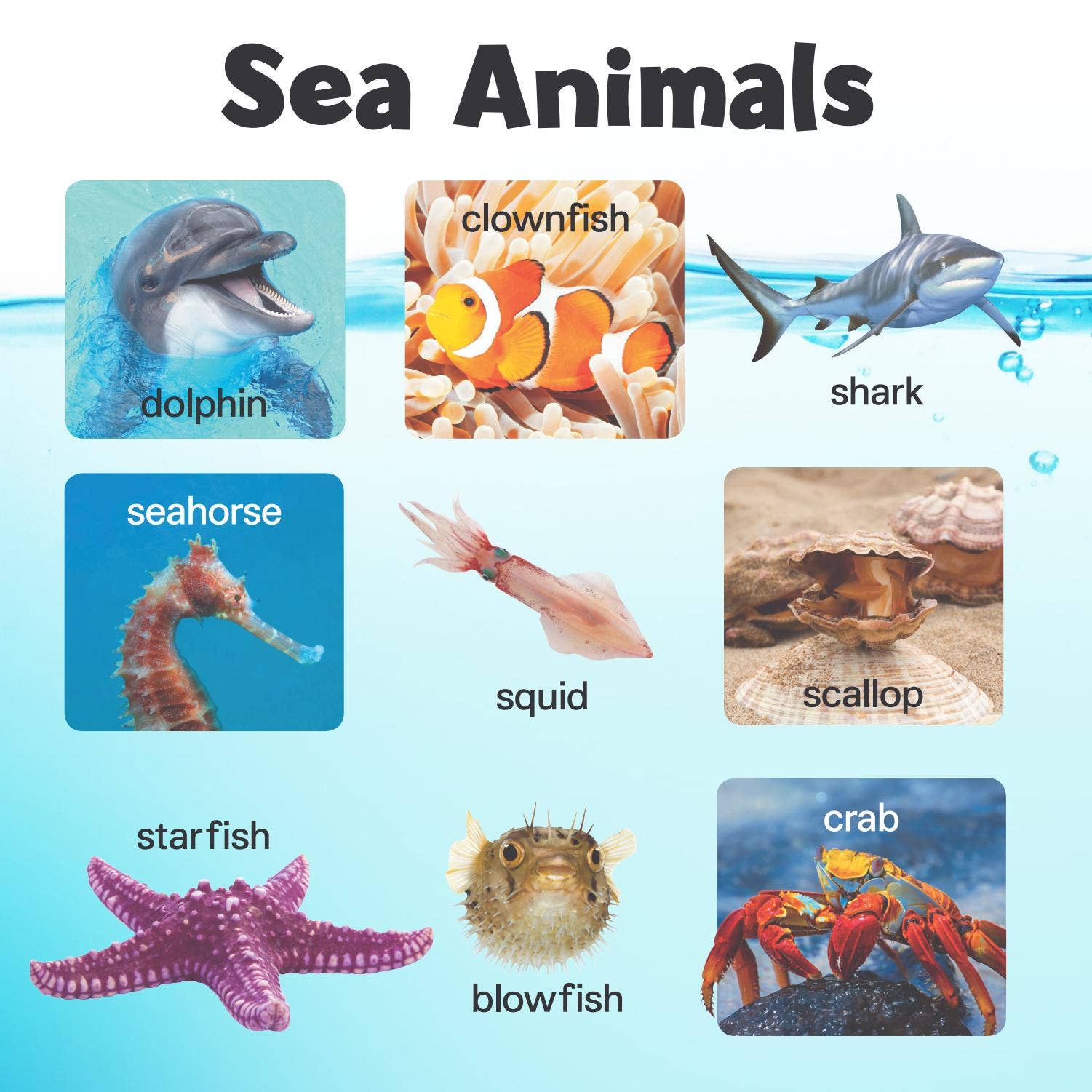 100 First Animals Board Book by MIS Publishing - Issuu