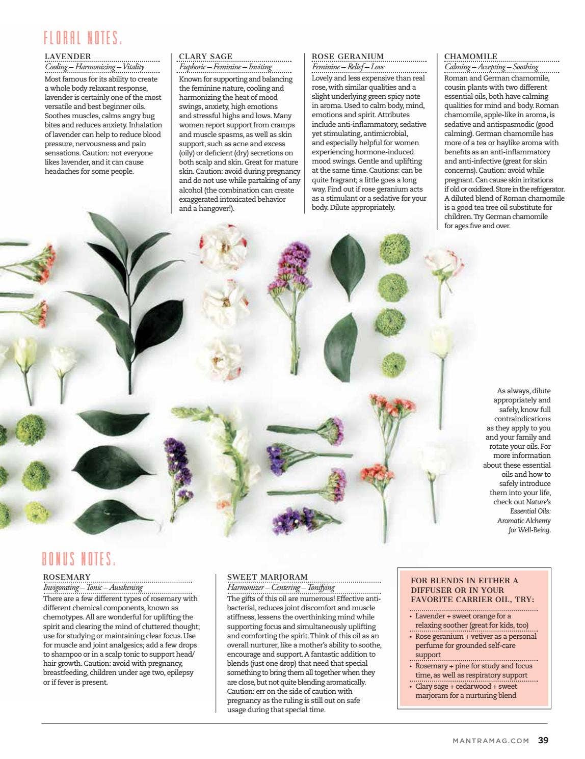 Mantra Wellness Magazine Volume 23 by THRIVE. ORIGIN + MANTRA Magazines ...