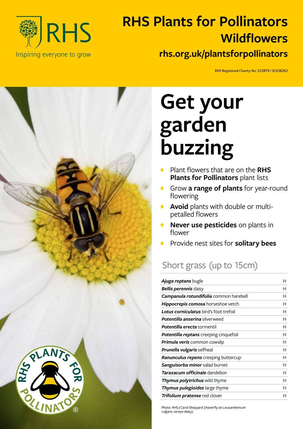 RHS Plants for Pollinators - Wildflowers by Fernando Ruz ...