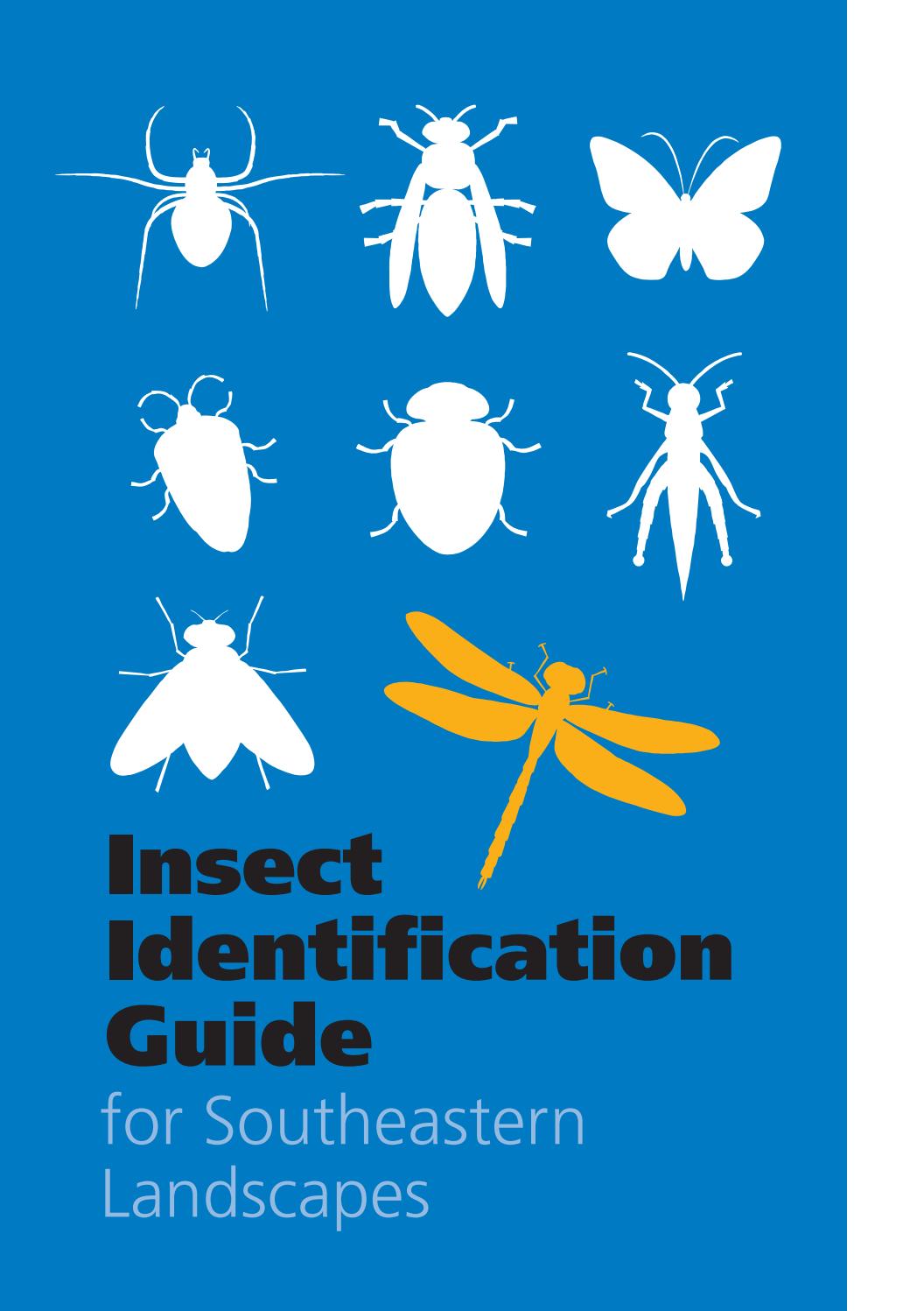 Insect Guide by wearehpmindia - Issuu