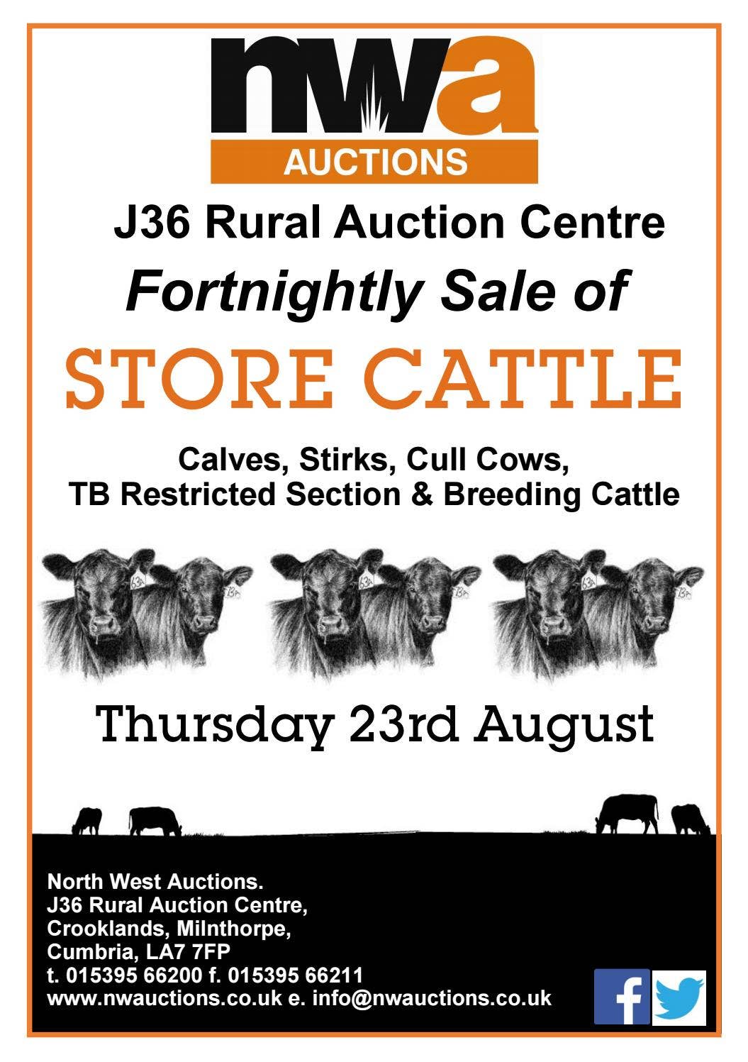 J36 Store Cattle by North West Auctions - Issuu