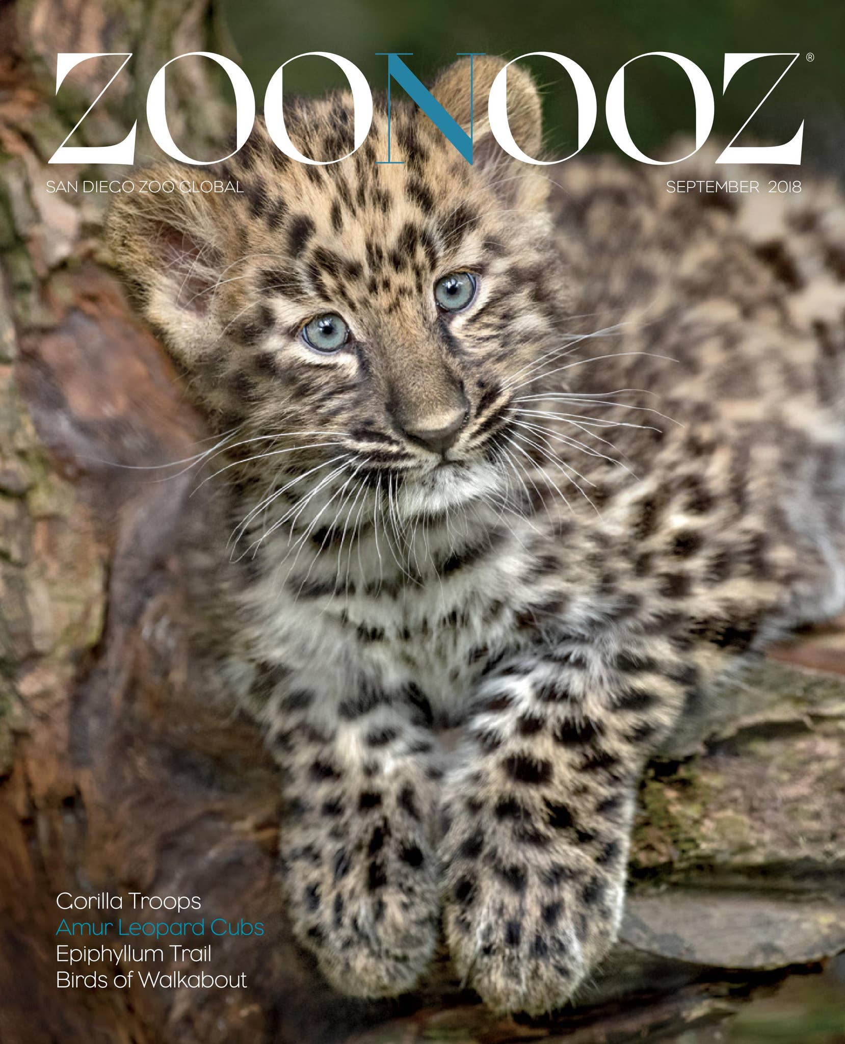 ZOONOOZ September 2018 by San Diego Zoo Wildlife Alliance - Issuu