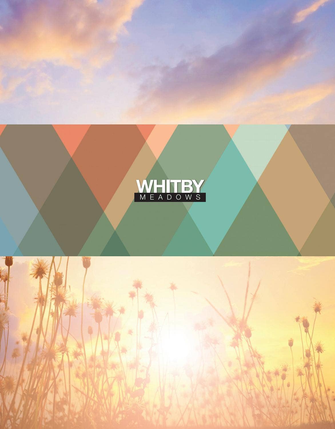 OPUS-Whitby Meadows Brochure by G. Ryan Design - Issuu