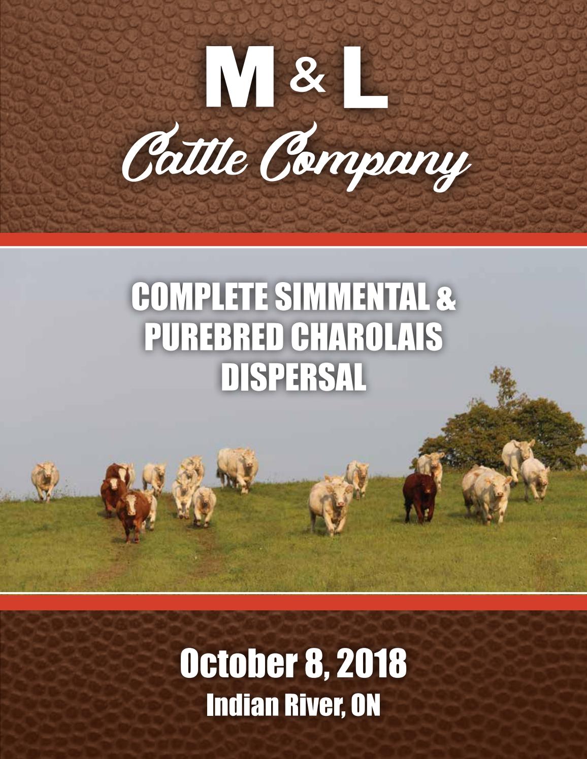 M & L Cattle Company by Today's Publishing Inc. - Issuu