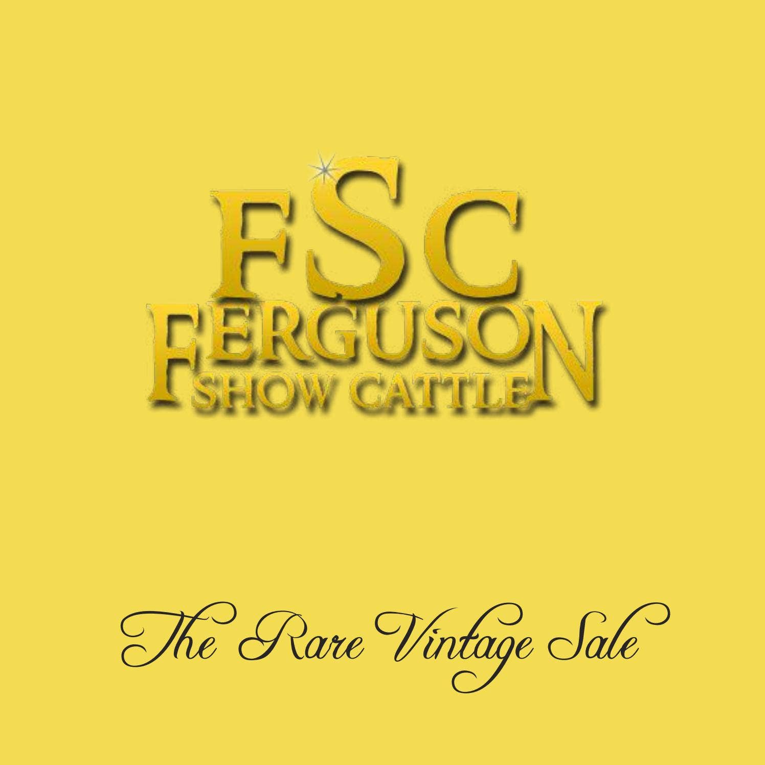 Ferguson The Rare Vintage Sale by Craig Reiter - Issuu