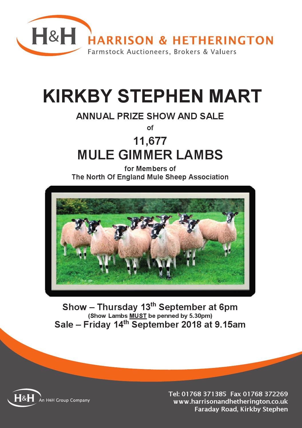 Kirkby Stephen NEMSA Gimmer Lamb Show & Sale 140918 by Harrison ...