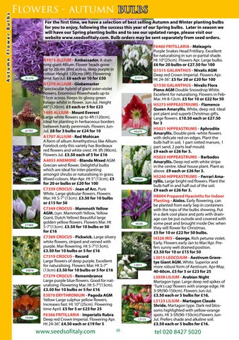 Franchi seeds of Italy autumn/winter 2018 catalogue by PAOLO ARRIGO - Issuu