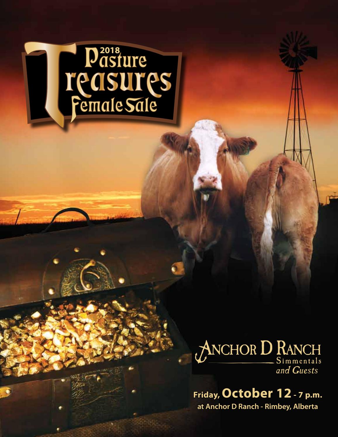 Anchor D Ranch Simmentals & Guests 2018 Pasture Treasures Female Sale ...