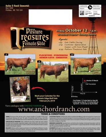 Anchor D Ranch Simmentals & Guests 2018 Pasture Treasures Female Sale ...