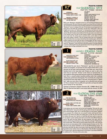 Anchor D Ranch Simmentals & Guests 2018 Pasture Treasures Female Sale ...