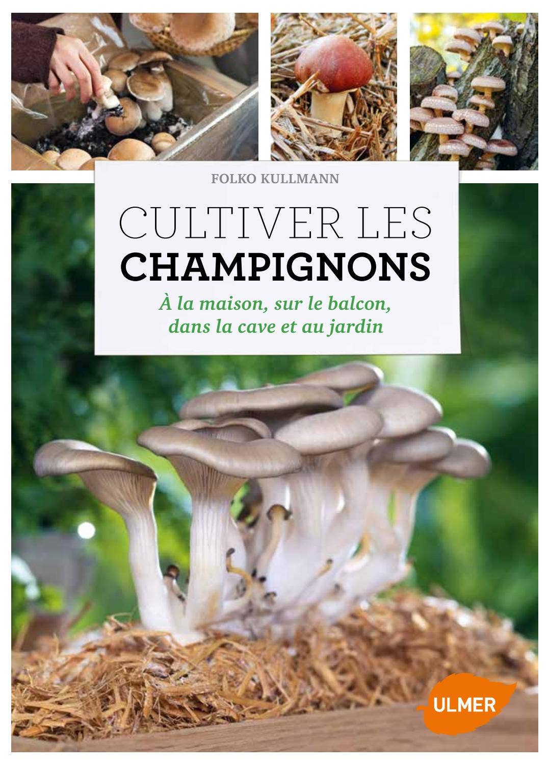 Extrait Cultiver ses champignons - Éditions Ulmer by Éditions Ulmer - Issuu