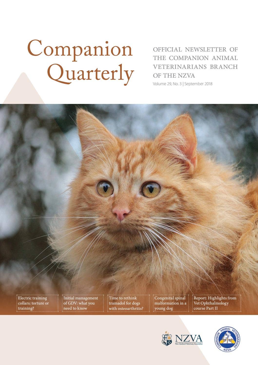 Companion Quarterly Vol 29 No3 September 2018 by Companion Quarterly ...