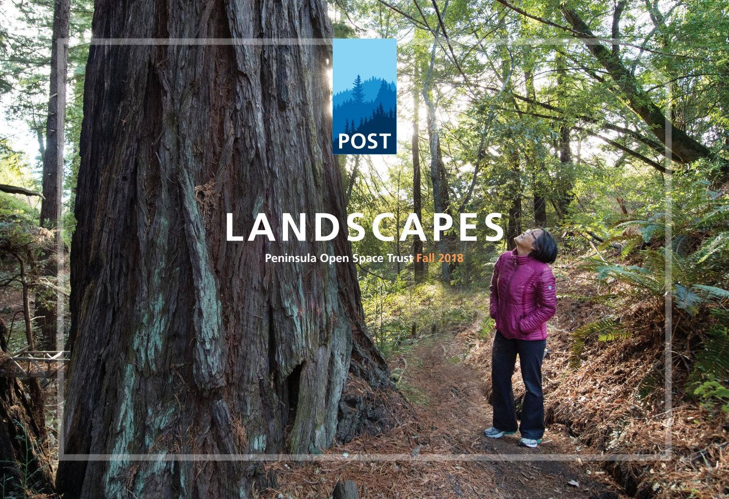 Fall Landscapes - 2018 by Peninsula Open Space Trust - Issuu